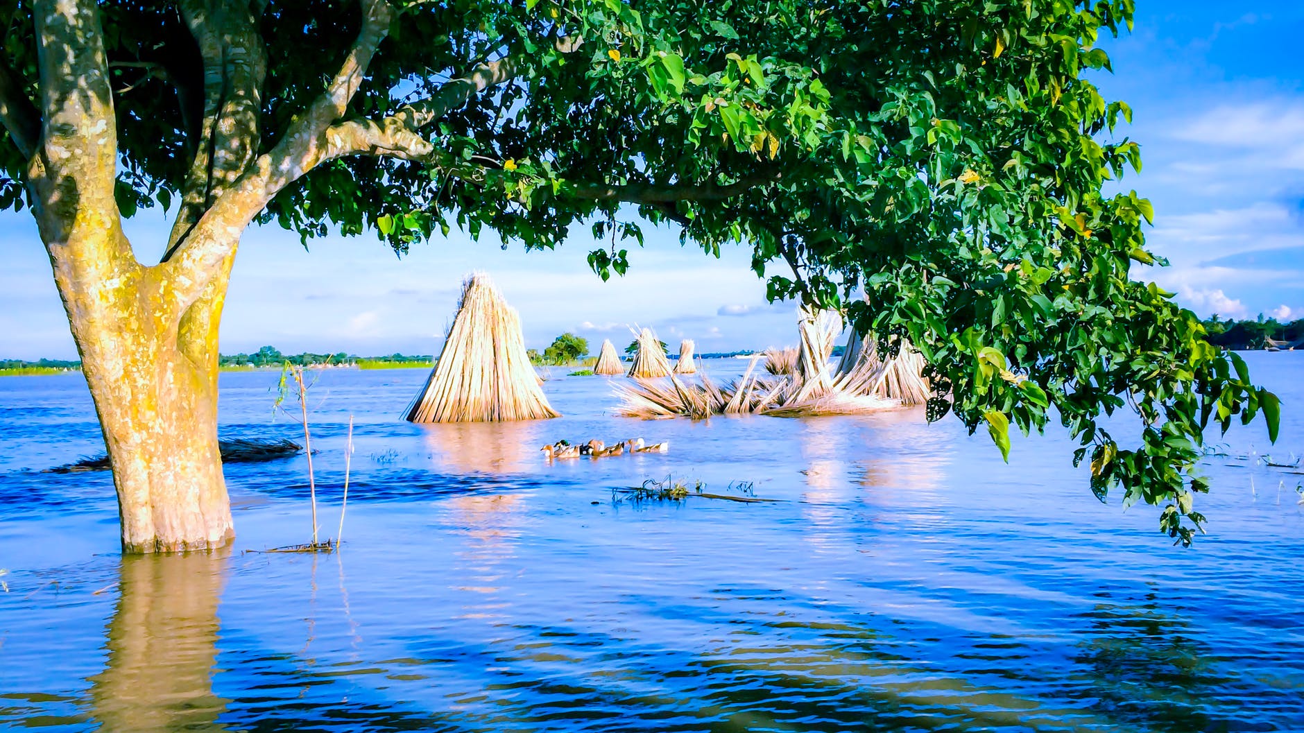 Did the Biblical Great Flood Really Happen? - Unbounded Wisdom Did the Biblical Great Flood Really Happen? - Unbounded Wisdom
